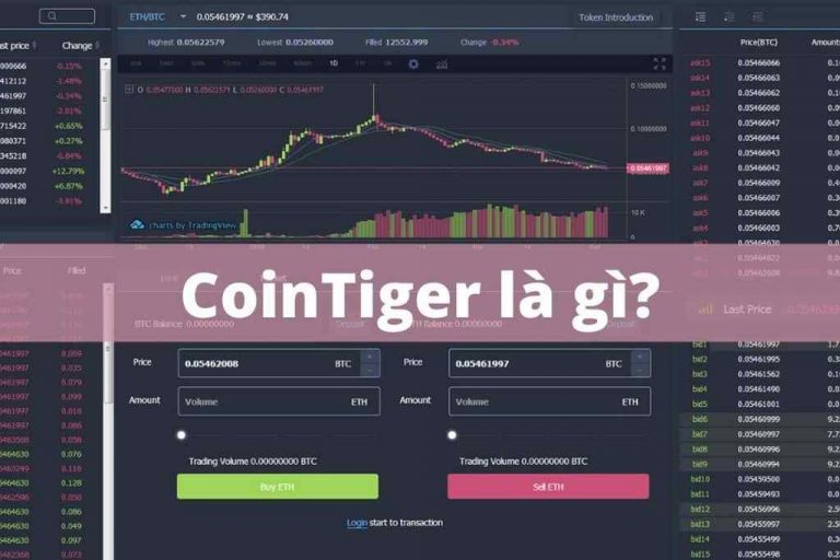 CoinTiger là gì? Ưu điểm và nhược điểm của sàn CoinTiger