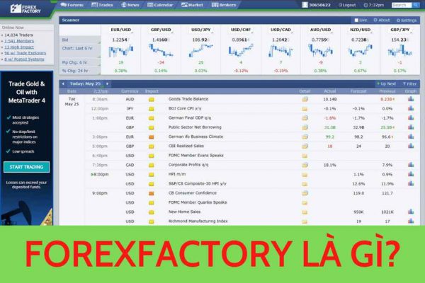 Forex Factory là gì? Cách sử dụng ForexFactory hiệu quả
