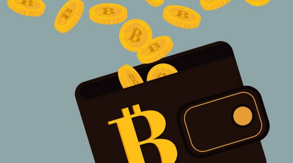 Coin Wallet là gì? Những lưu ý khi sử dụng ví tiền điện tử