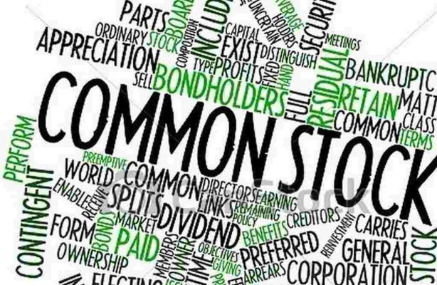 Common stock là gì? Đặc điểm và rủi ro khi sở hữu là gì?