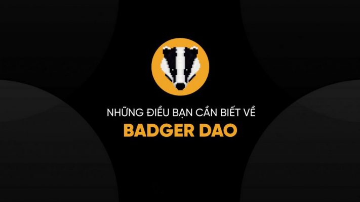 Badger là gì? Tất tần tật về đồng tiền kỹ thuật số Badger