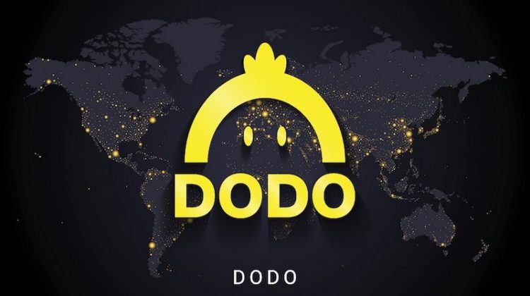 ICO DODO là gì? Những thông tin tổng quan về DODO Token